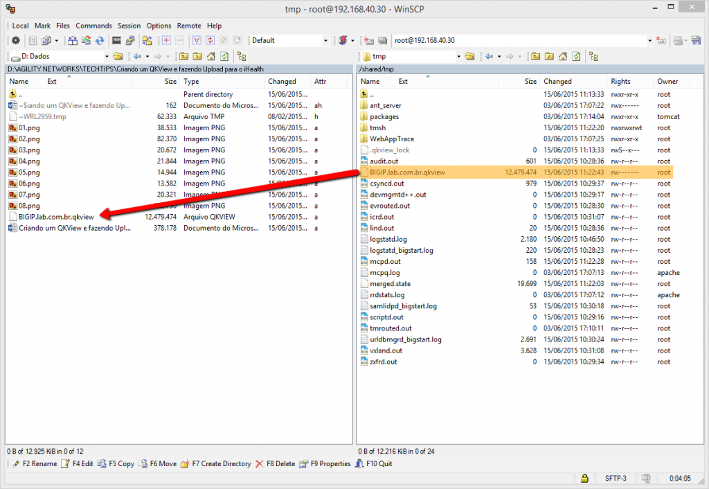 Gerando QKView e fazendo Upload para o iHealth.f5.com - Agility